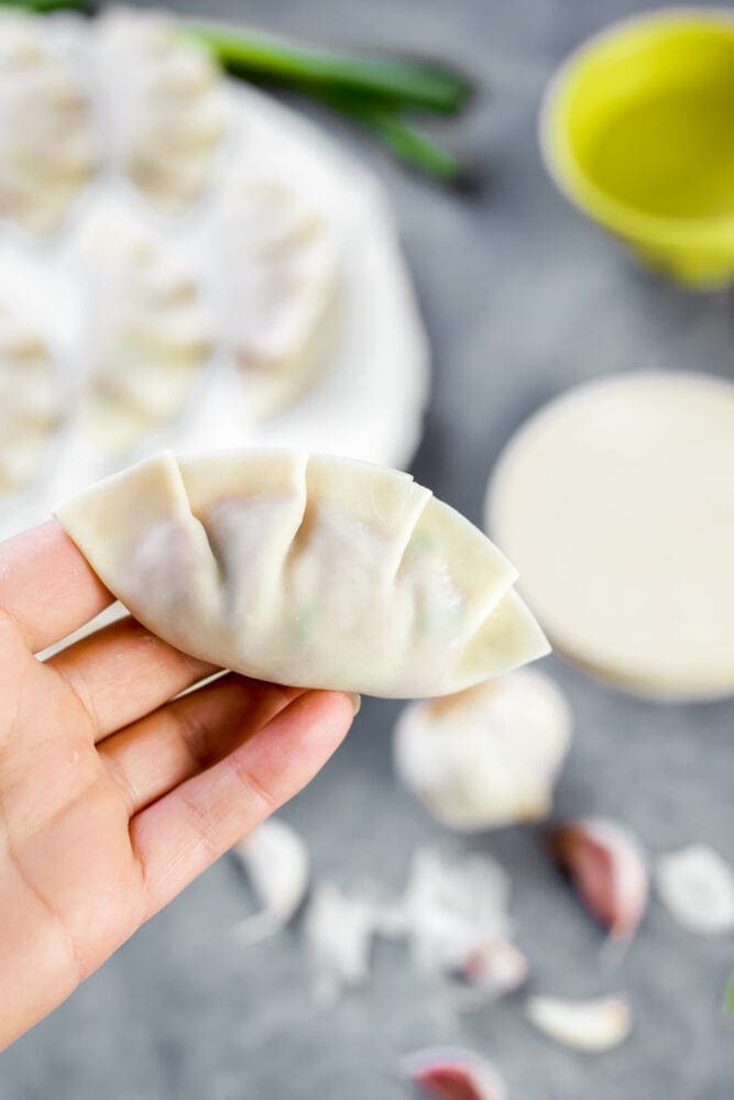 Easy Pork Gyoza Dumpling Recipe | Anoushka Probyn